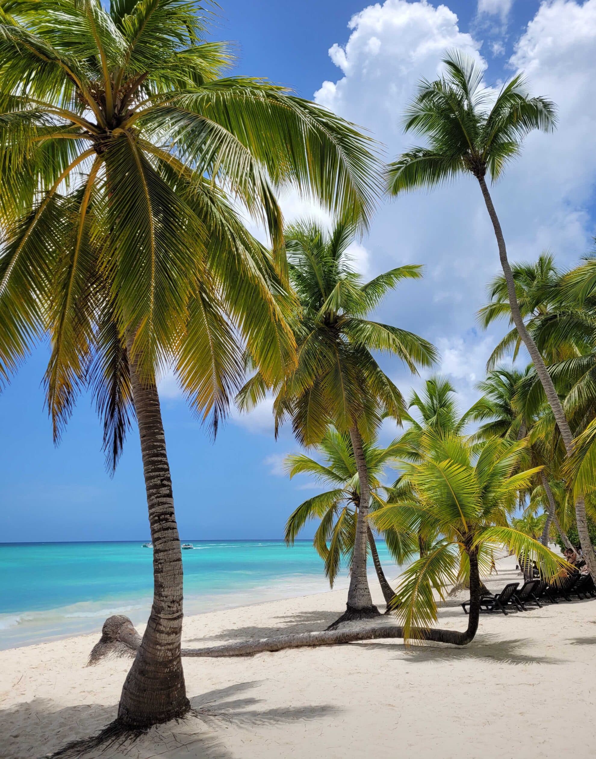 איסלה סאונה - Shiran&Oren